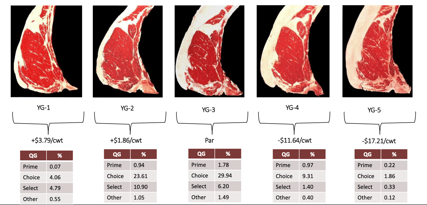 7 Wagyu Beef Cuts to Try for Unmatched Flavor and Tenderness