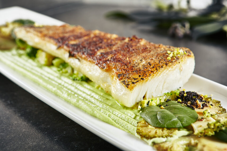 5 Facts About Corvina Fish You Need to Know