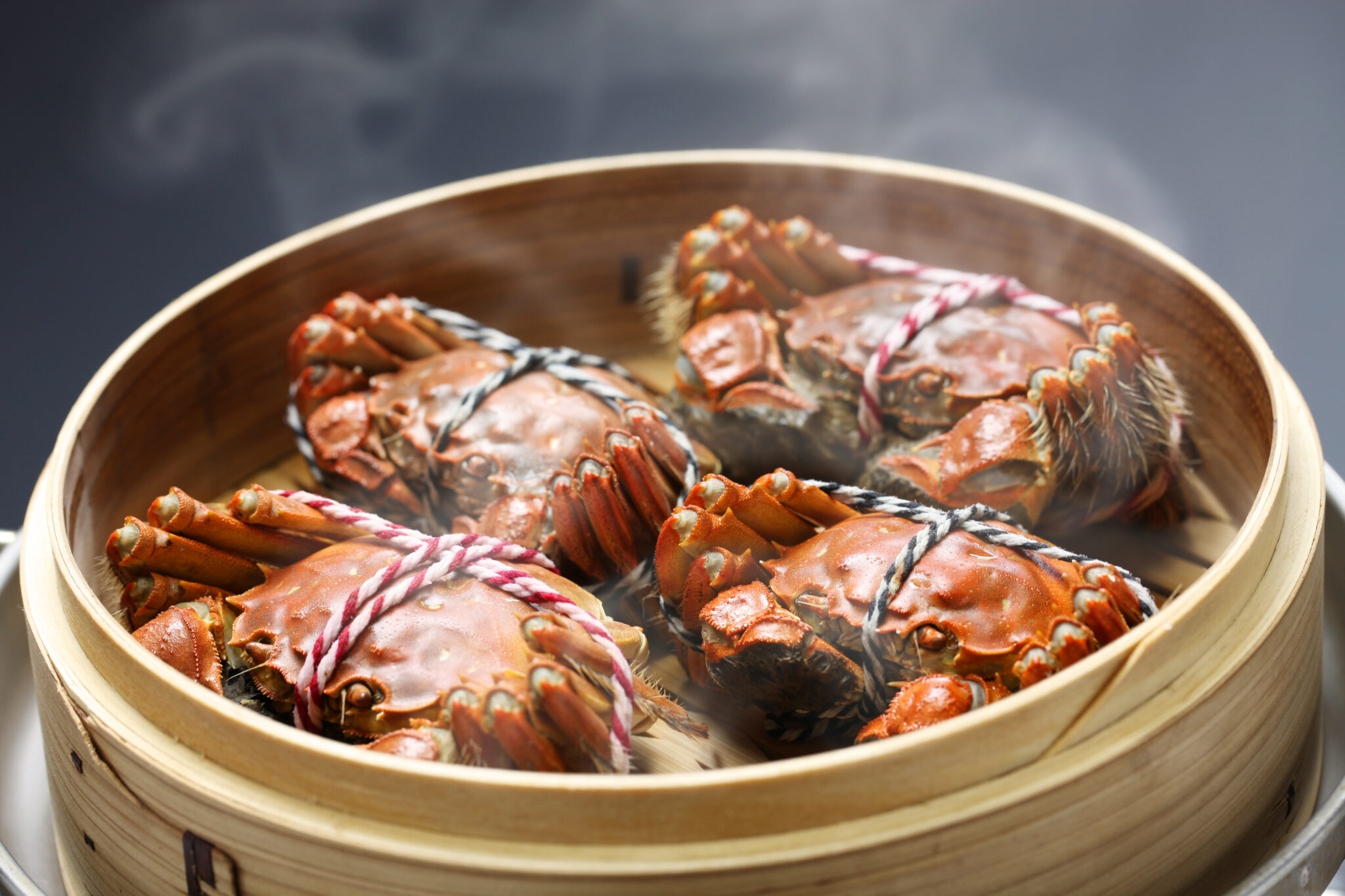 5 Steps on How to Keep Blue Crabs Alive for Freshness