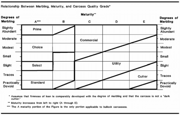 5 USDA Beef Grades for Better Flavor and Tenderness