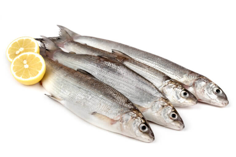 10 White Fish Health Benefits You Need to Know for Better Well-being