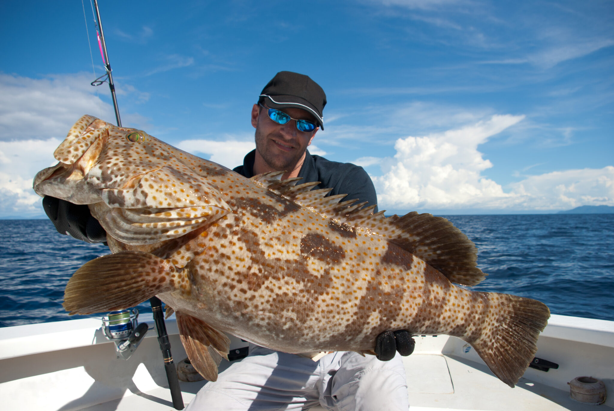 8 Reasons Grouper Fish Prices Are Rising and How It Affects You