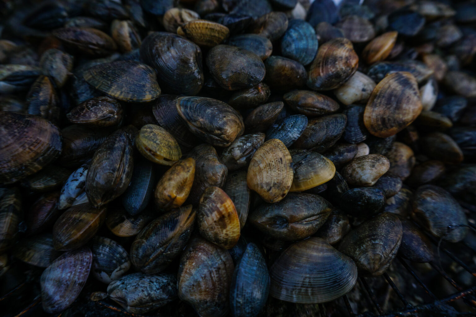 7 Luxury Seafood Delicacies Worth Splurging On