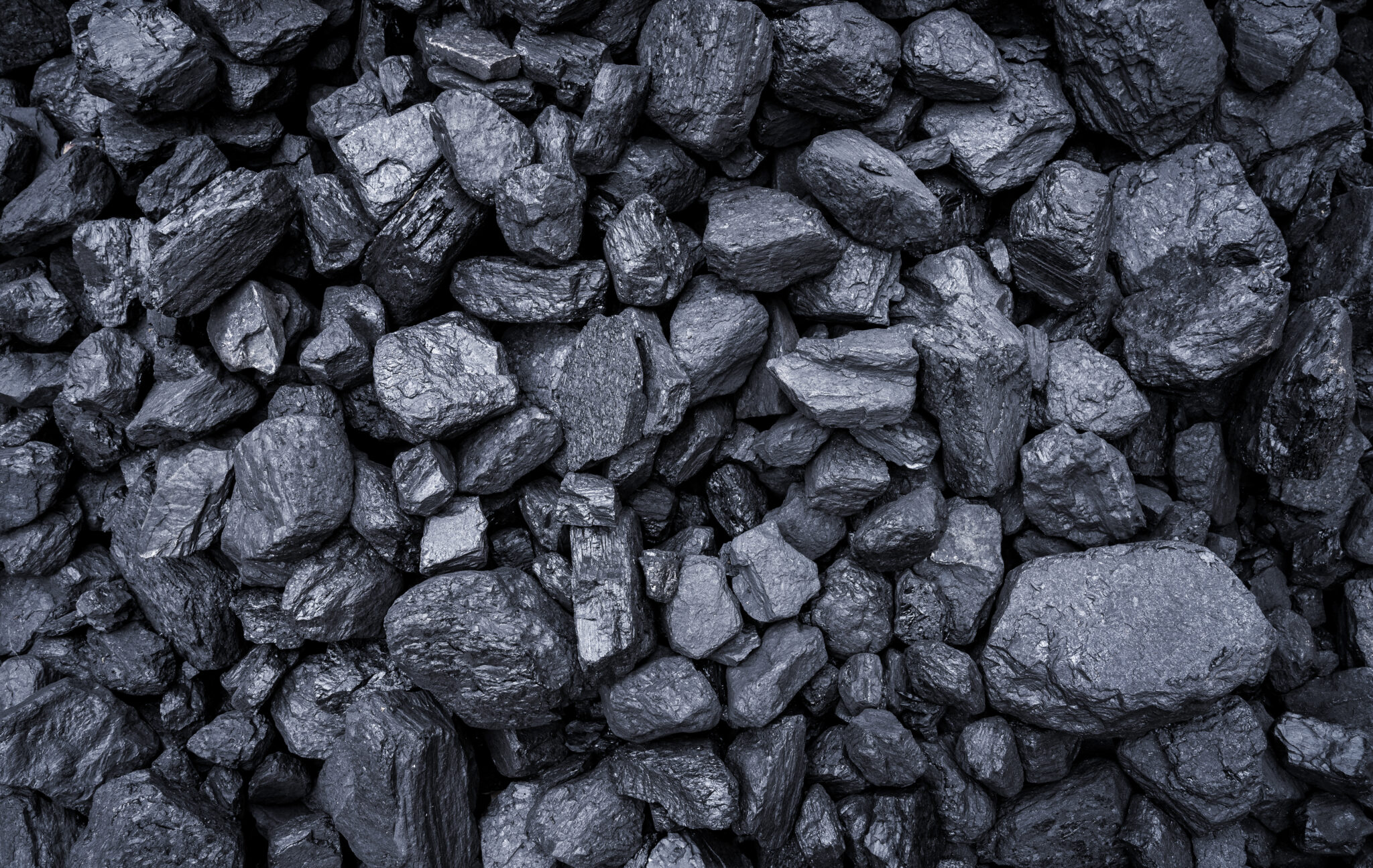 8 Reasons Why Charcoal Won't Stay Lit and How to Fix It