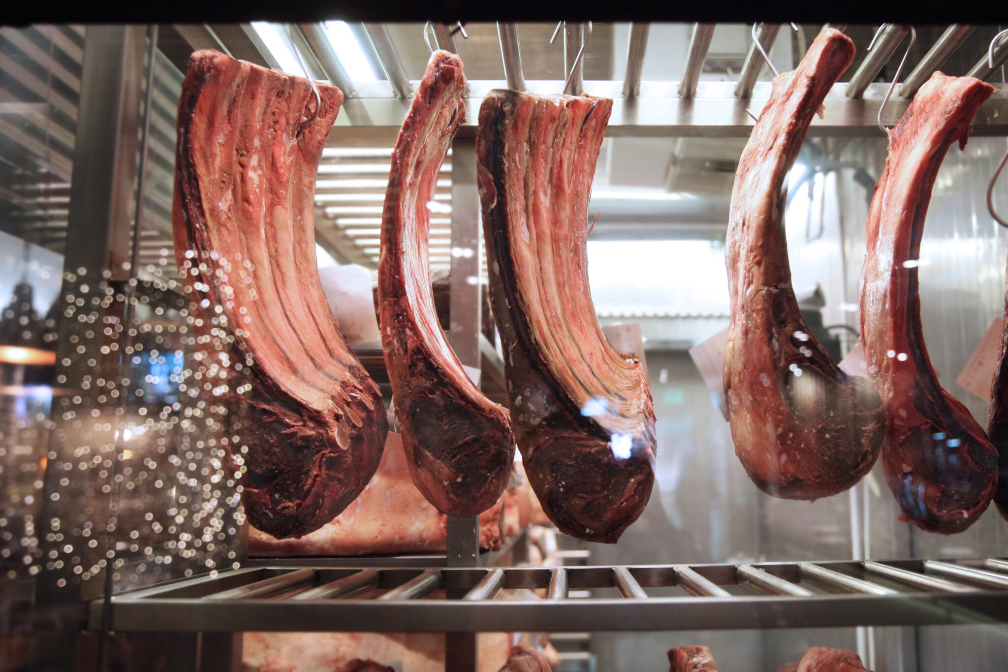 7 Best Home Meat Aging Cabinets for Perfect Dry-Aged Steak at Home